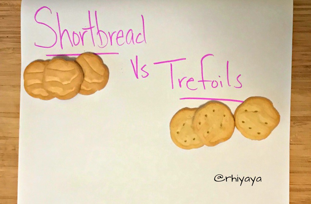 Updated for 2022: What is the Deal with all the Different Girl Scout ...